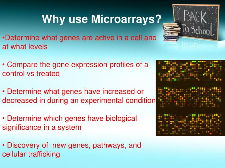 PPT - DNA Microarray PowerPoint Presentation - ID:1588906