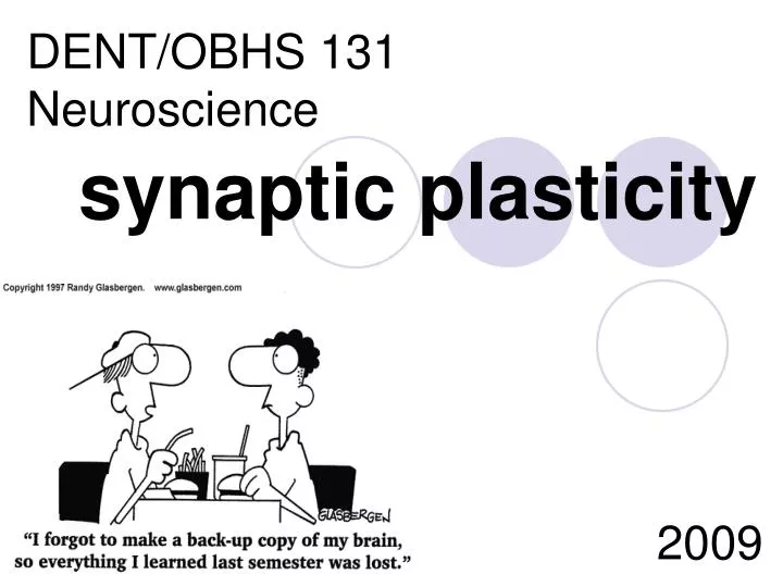 PPT - synaptic plasticity PowerPoint Presentation - ID:1836027 PPT - synaptic plasticity PowerPoint Presentation - ID:1836027