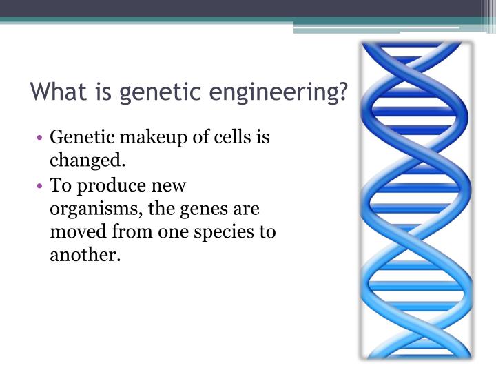 Ppt Genetic Engineering For Food Supply Powerpoint Presentation Id
