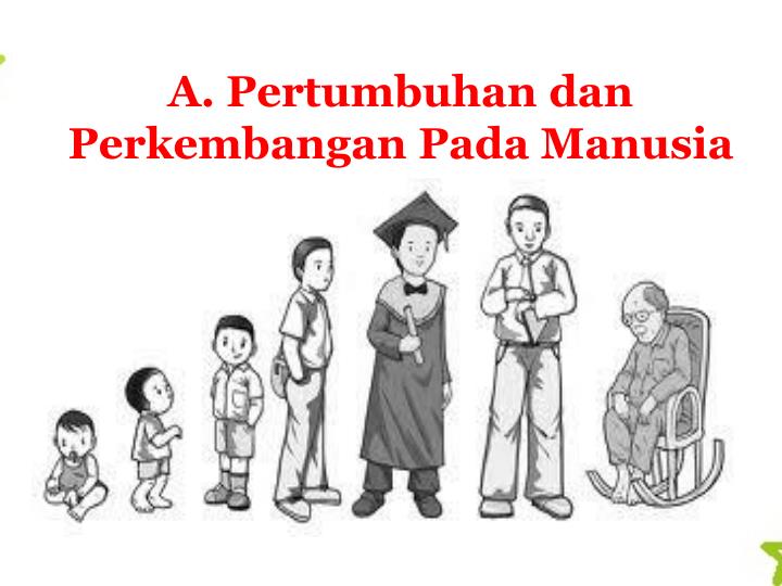 Ppt Pertumbuhan Dan Perkembangan Pada Manusia - Riset Ppt Pertumbuhan Dan Perkembangan Pada Manusia - Riset