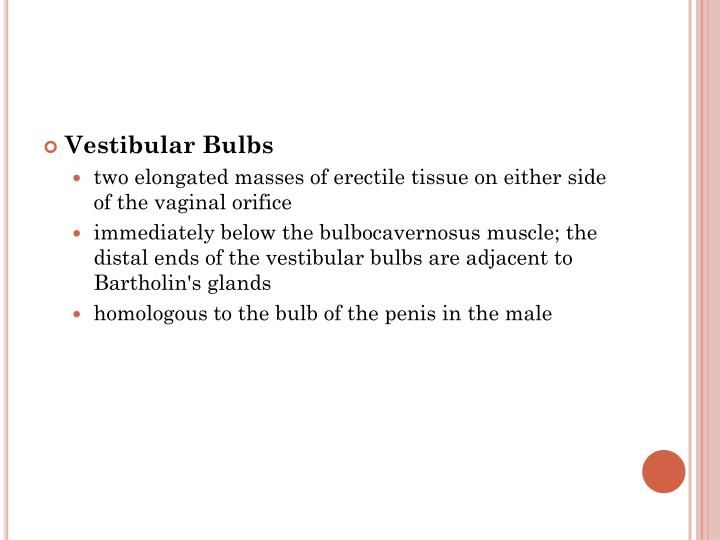 Ppt The Female Reproductive Tract Powerpoint Presentation Id1954581