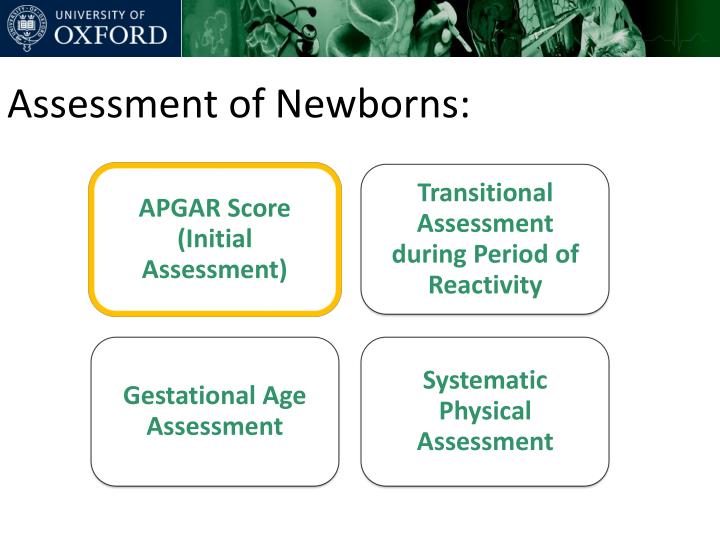 Ppt T He Apgar Score Newborn Assessment Powerpoint Presentation Id