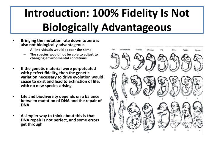 PPT - Chapter 9: The Mutability Of DNA PowerPoint Presentation - ID:2139285 PPT - Chapter 9: The Mutability Of DNA PowerPoint Presentation - ID:2139285