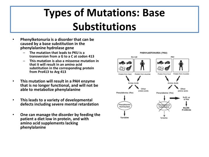 PPT - Chapter 9: The Mutability Of DNA PowerPoint Presentation - ID:2139285 PPT - Chapter 9: The Mutability Of DNA PowerPoint Presentation - ID:2139285