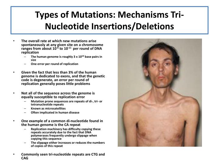 PPT - Chapter 9: The Mutability Of DNA PowerPoint Presentation - ID:2139285 PPT - Chapter 9: The Mutability Of DNA PowerPoint Presentation - ID:2139285