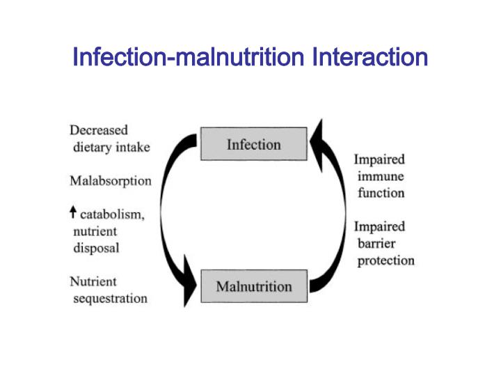 Ppt Global Health And Nutrition Spotlight On Mexico Powerpoint