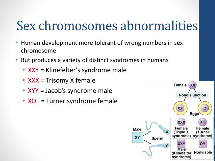 Ppt Errors Of Meiosis Chromosomal Abnormalities Powerpoint