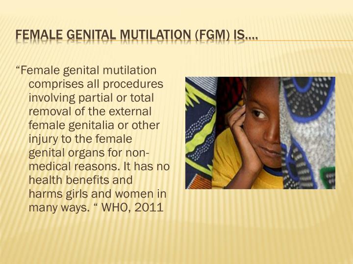 Ppt Female Genital Mutilation Fgm Circumcision Powerpoint