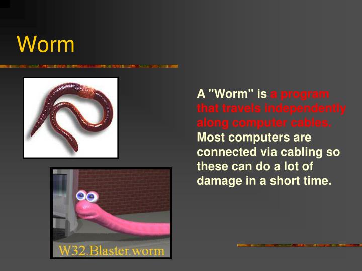 PPT - Computer Viruses PowerPoint Presentation - ID:2387721 PPT - Computer Viruses PowerPoint Presentation - ID:2387721