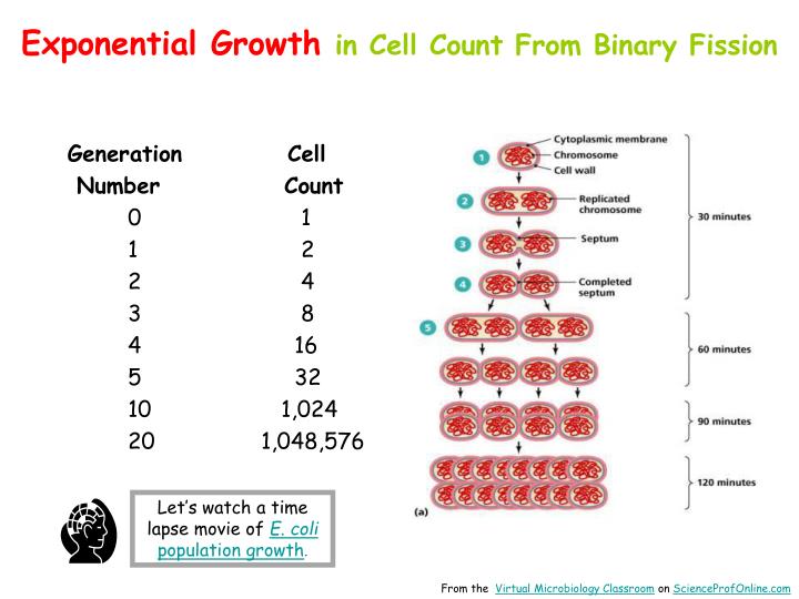 PPT - About Science Prof Online PowerPoint Resources PowerPoint ...