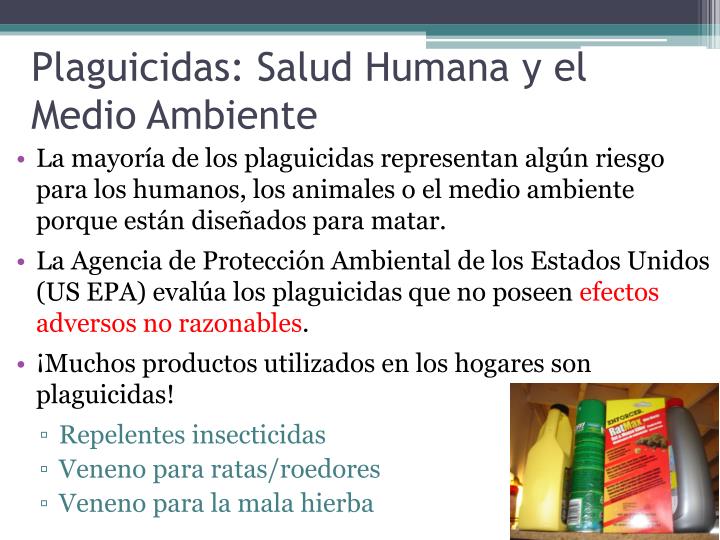 Ppt Plaguicidas Powerpoint Presentation Id 2477306