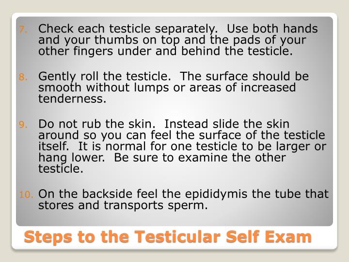 Ppt Testicular Cancer Powerpoint Presentation Id 2495226