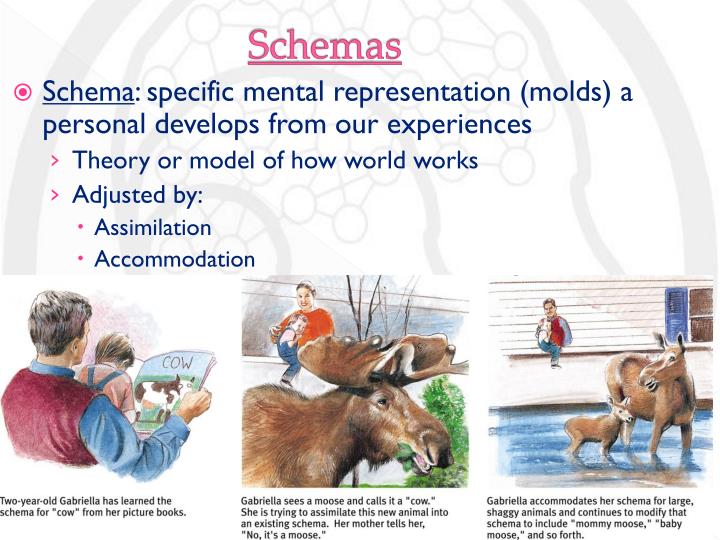 PPT - Human Development: Cognitive Development PowerPoint Presentation ... PPT - Human Development: Cognitive Development PowerPoint Presentation ...