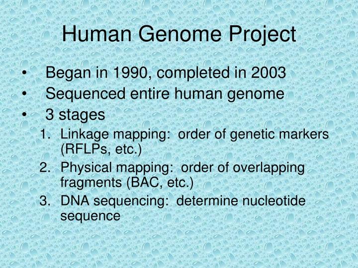 Ppt Chapter 21 Genomes And Their Evolution Powerpoint Presentation