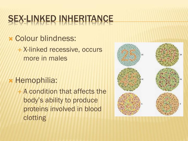 Ppt Sex Linked Traits And Pedigree Charts Powerpoint Presentation Id