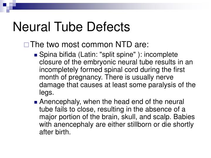PPT - Folic Acid and Neural Tube Defects PowerPoint Presentation - ID ... PPT - Folic Acid and Neural Tube Defects PowerPoint Presentation - ID ...