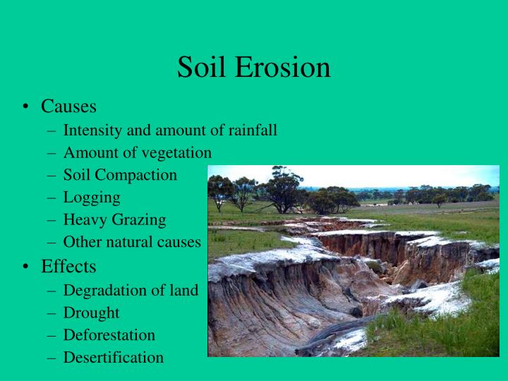 Soil Erosion Soil Erosion Causes Effects And Prevention | The Best Porn ... Soil Erosion Soil Erosion Causes Effects And Prevention | The Best Porn ...