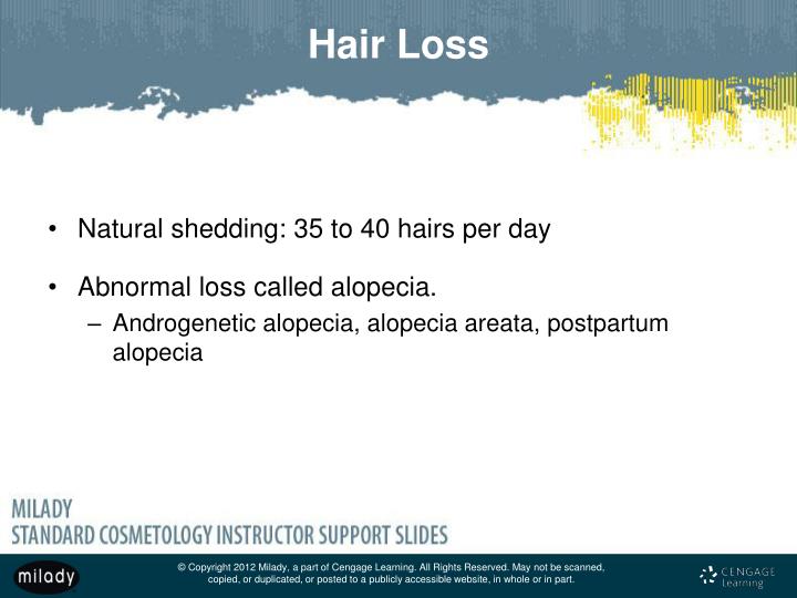 Ppt Chapter 11 Properties Of The Hair And Scalp Powerpoint