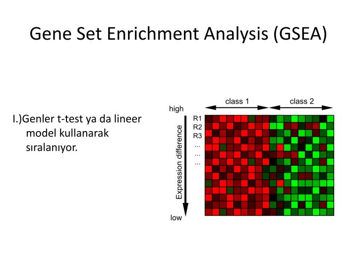 PPT - Gene Set Enrichment Analysis (GSEA) PowerPoint Presentation - ID ... PPT - Gene Set Enrichment Analysis (GSEA) PowerPoint Presentation - ID ...
