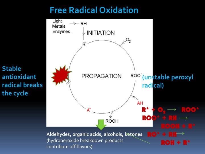 PPT - Free radical PowerPoint Presentation - ID:1505002