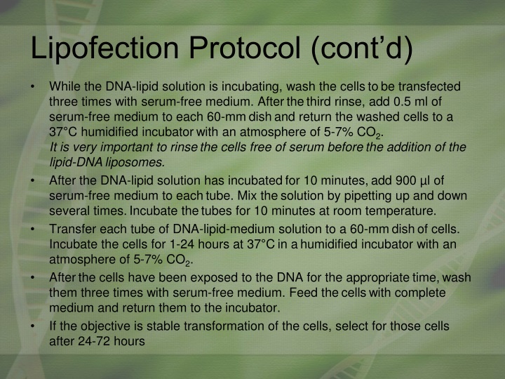 PPT - DNA Transfection into Prokaryotic and Eukaryotic Cells PowerPoint ...