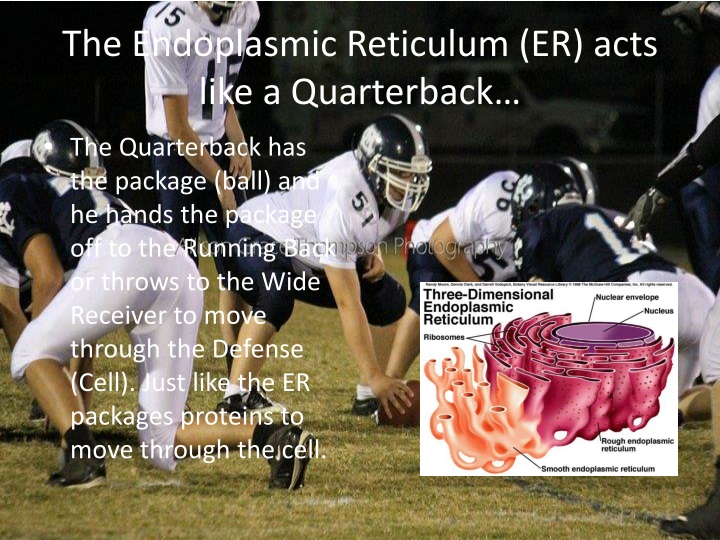 PPT - The Parts of a Cell: Football Style PowerPoint Presentation - ID ...
