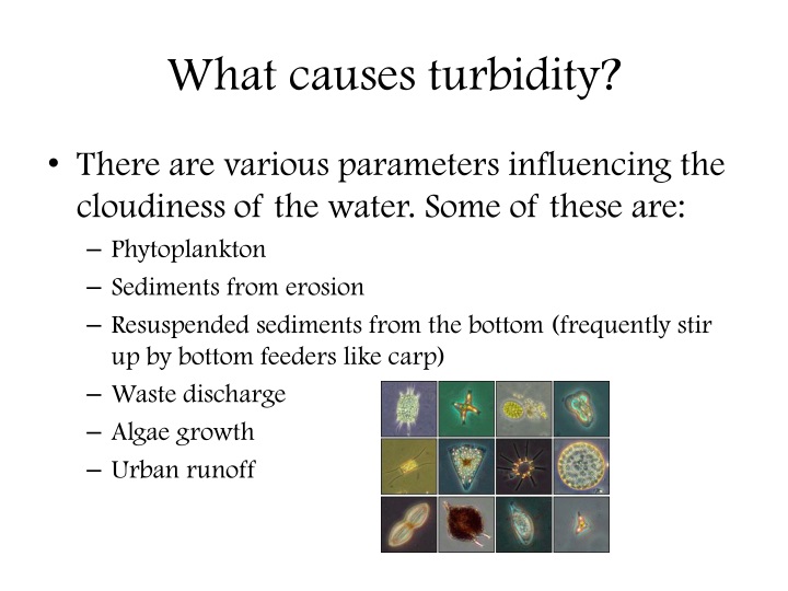 PPT - Aquatic Biodiversity PowerPoint Presentation - ID:1509756
