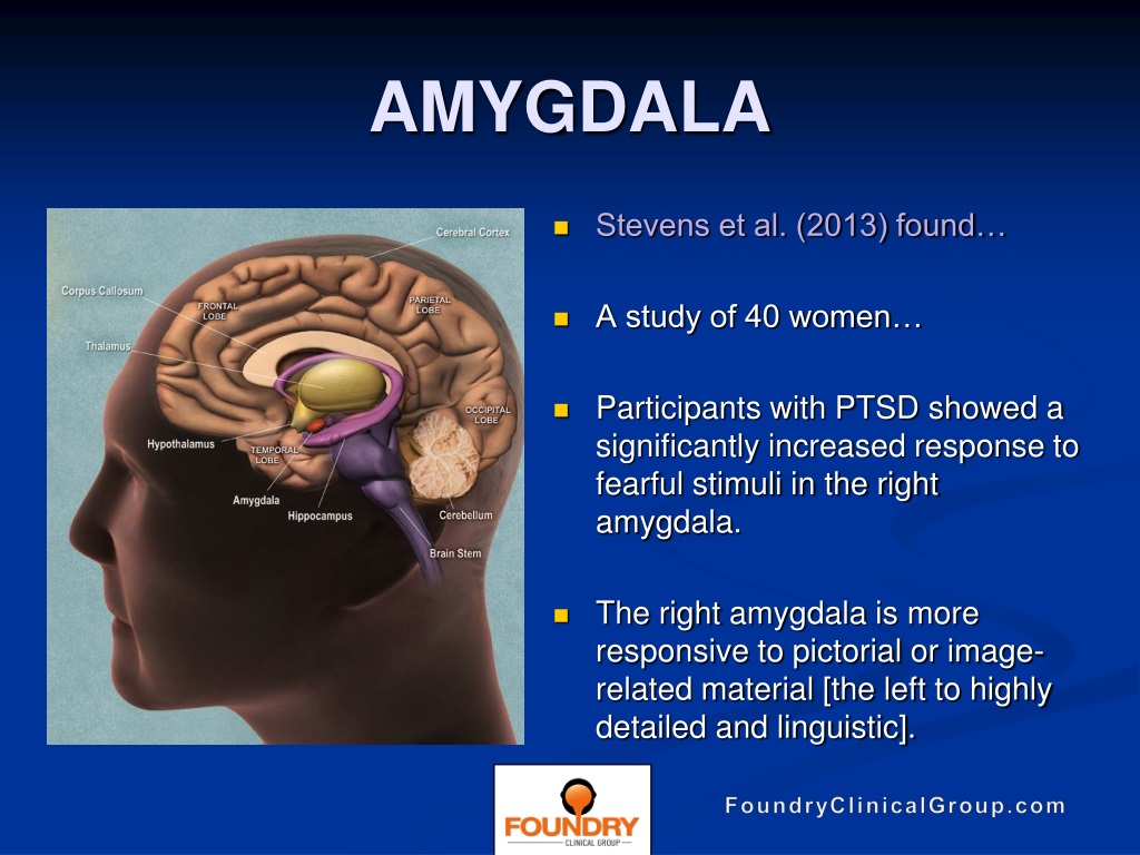 PPT - Mark Forman, PhD Clinical Director Life Design Centre PowerPoint ...