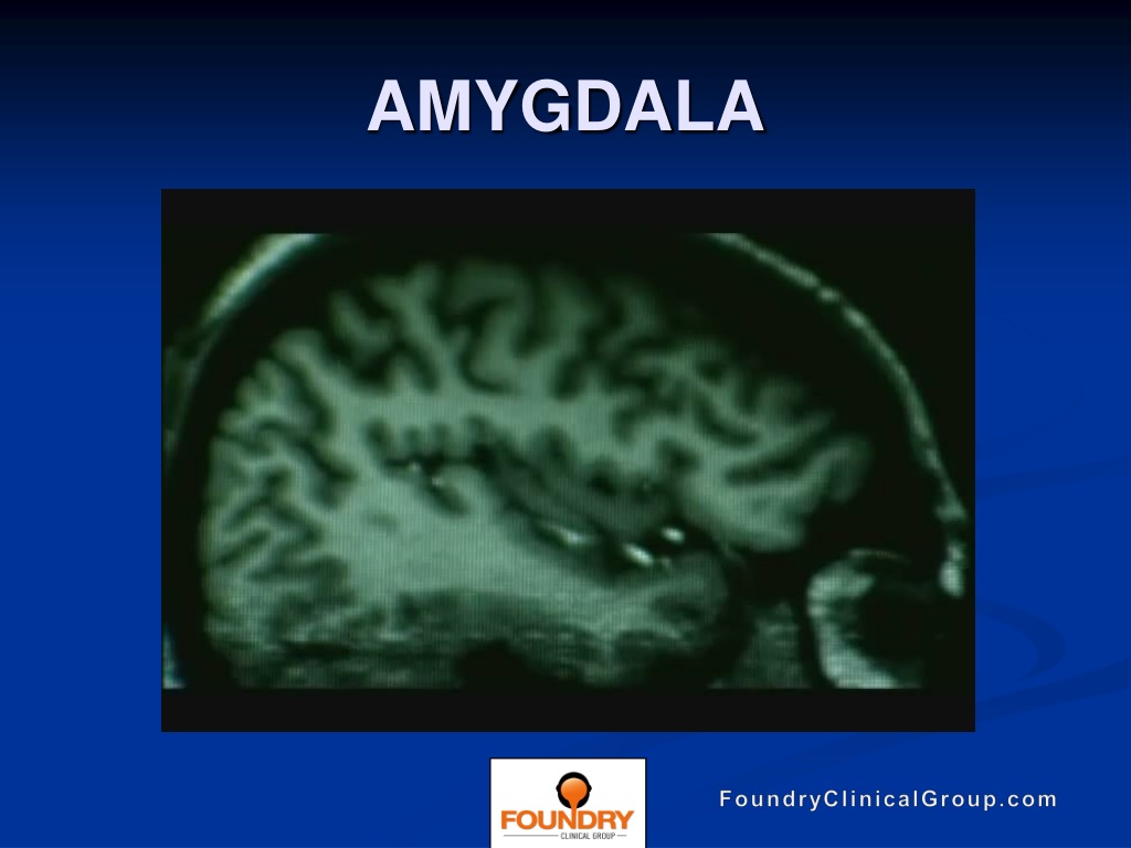 PPT - Mark Forman, PhD Clinical Director Life Design Centre PowerPoint ...