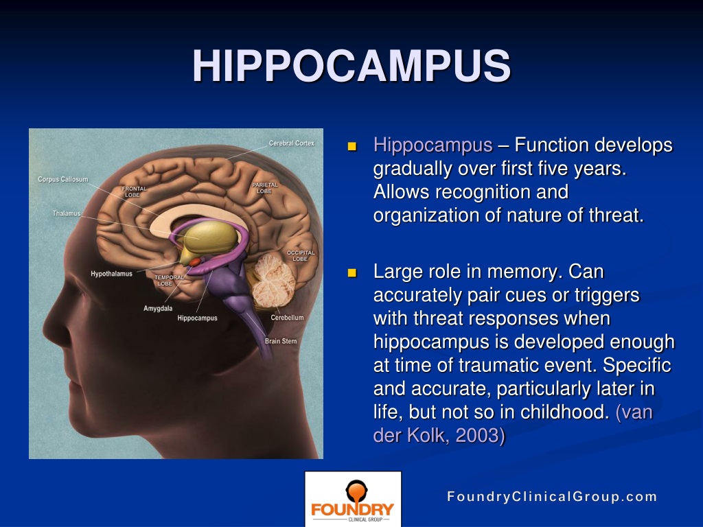 PPT - Mark Forman, PhD Clinical Director Life Design Centre PowerPoint ...
