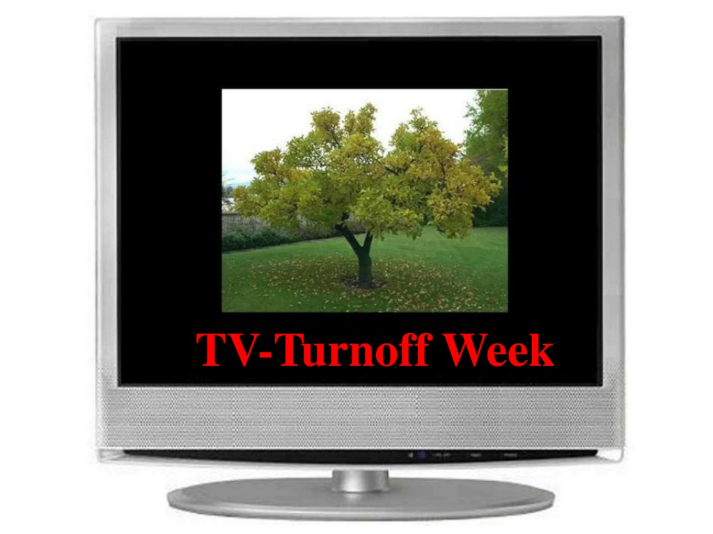 PPT - Do we need an All-Russia TV-Turnoff Week? PowerPoint Presentation ...