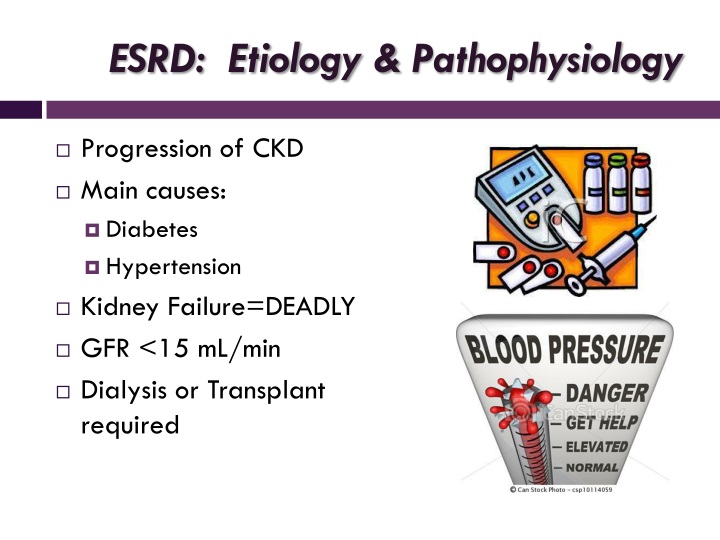 PPT - ERSD: End Stage Renal Disease PowerPoint Presentation - ID:1518384