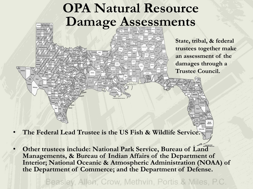PPT - Deepwater Horizon Oil Disaster: State & Government Claims ...