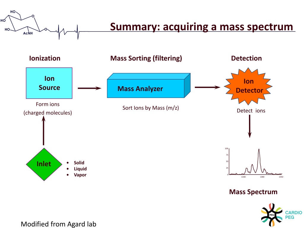 PPT - Mass Spectrometry Overview and Mass Spectrometry of Proteins and ...