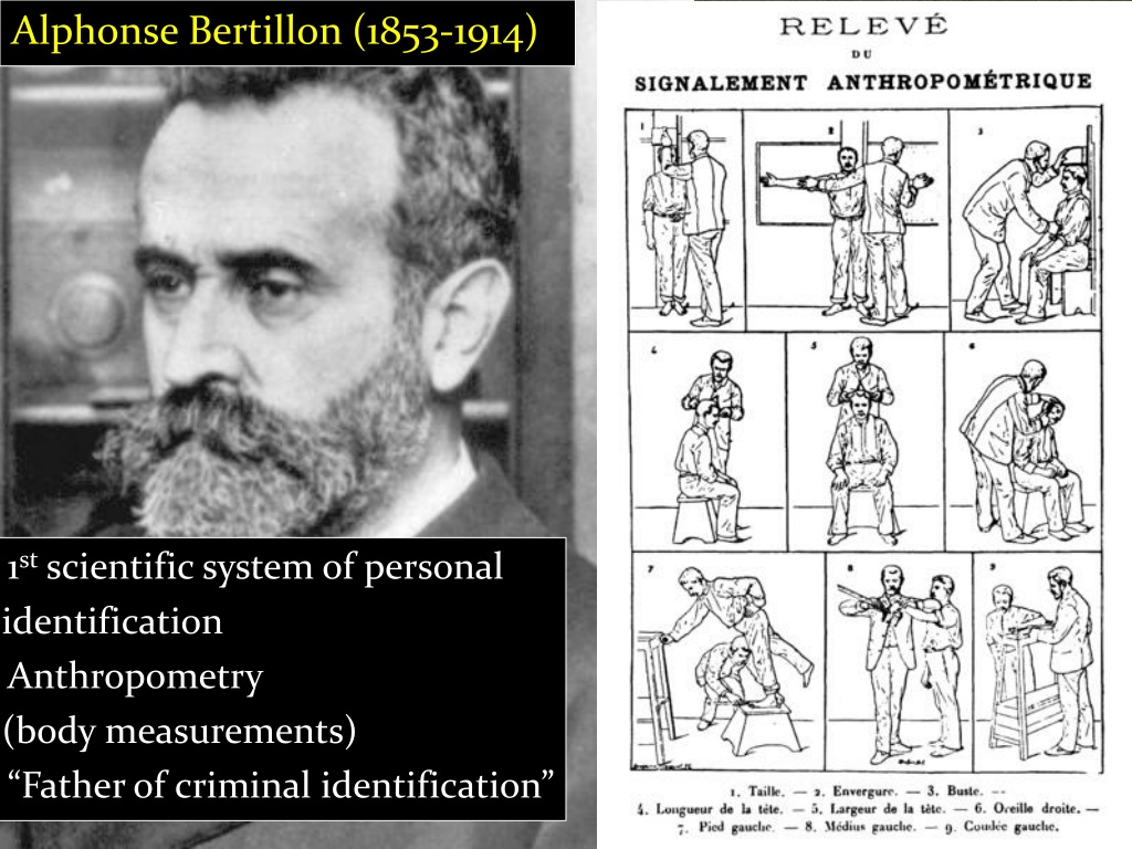 PPT - Forensic Science PowerPoint Presentation, free download - ID:1519483 PPT - Forensic Science PowerPoint Presentation, free download - ID:1519483