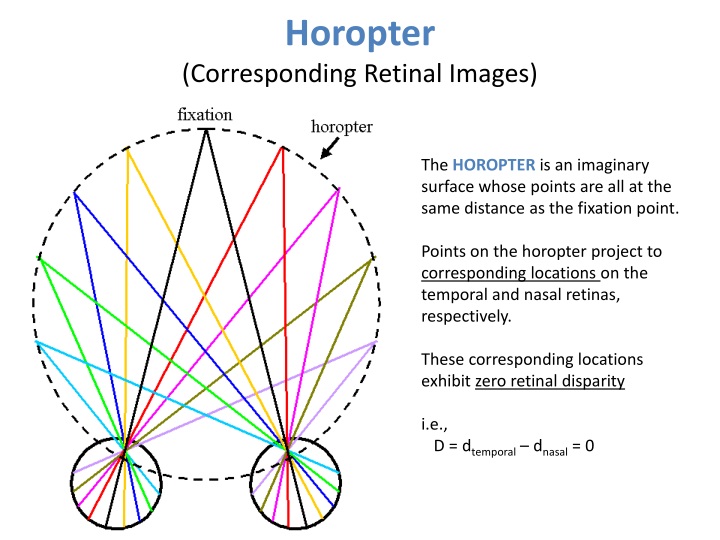 PPT - 3D Space Perception (aka Depth Perception) PowerPoint ...