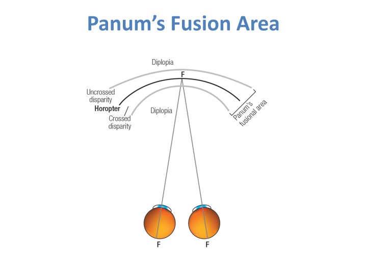PPT - 3D Space Perception (aka Depth Perception) PowerPoint ...