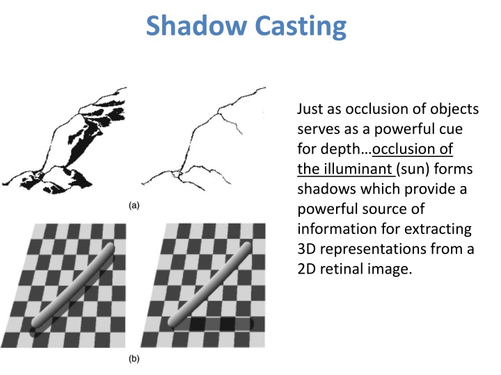 PPT - 3D Space Perception (aka Depth Perception) PowerPoint ...