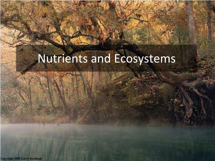 PPT - Nutrients and Ecosystems PowerPoint Presentation, free download ...