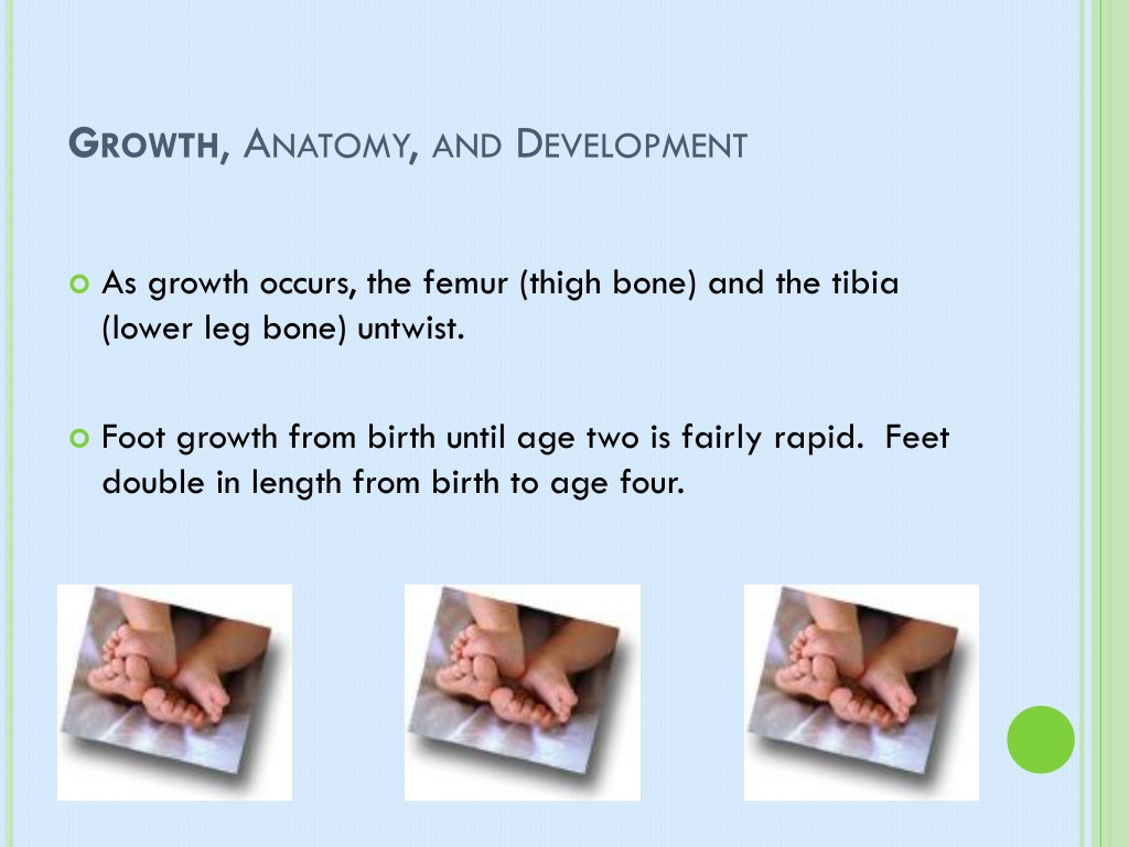 PPT - Kids’ Feet: Podopediatrics PowerPoint Presentation, free download ...