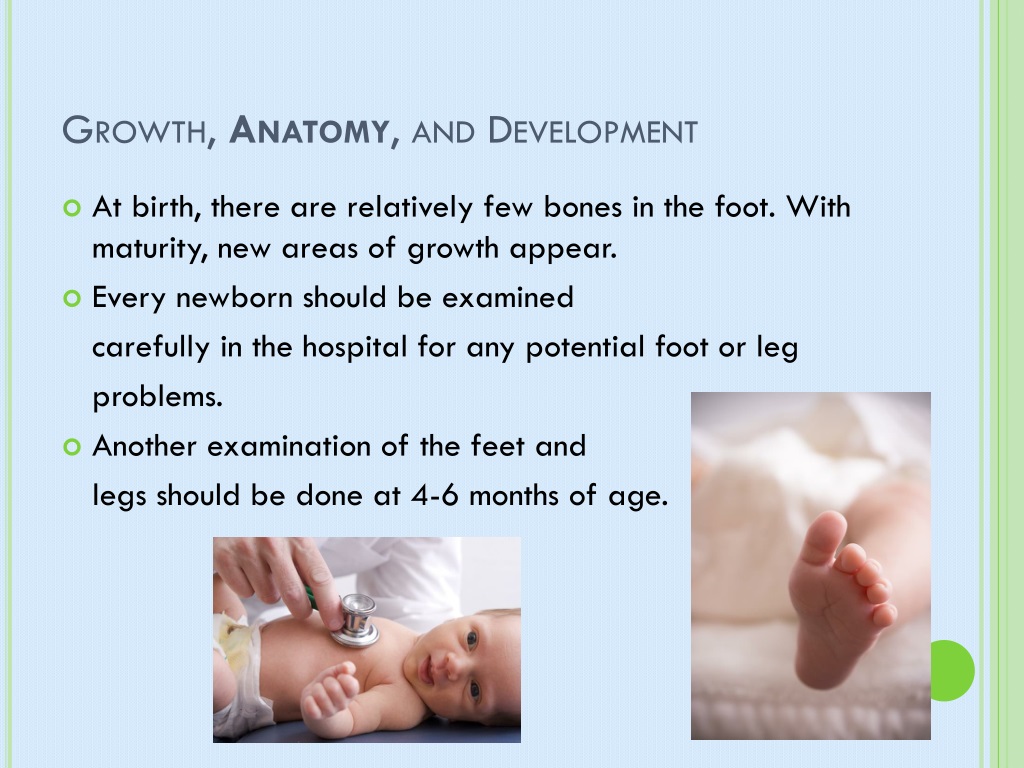 PPT - Kids’ Feet: Podopediatrics PowerPoint Presentation, free download ...