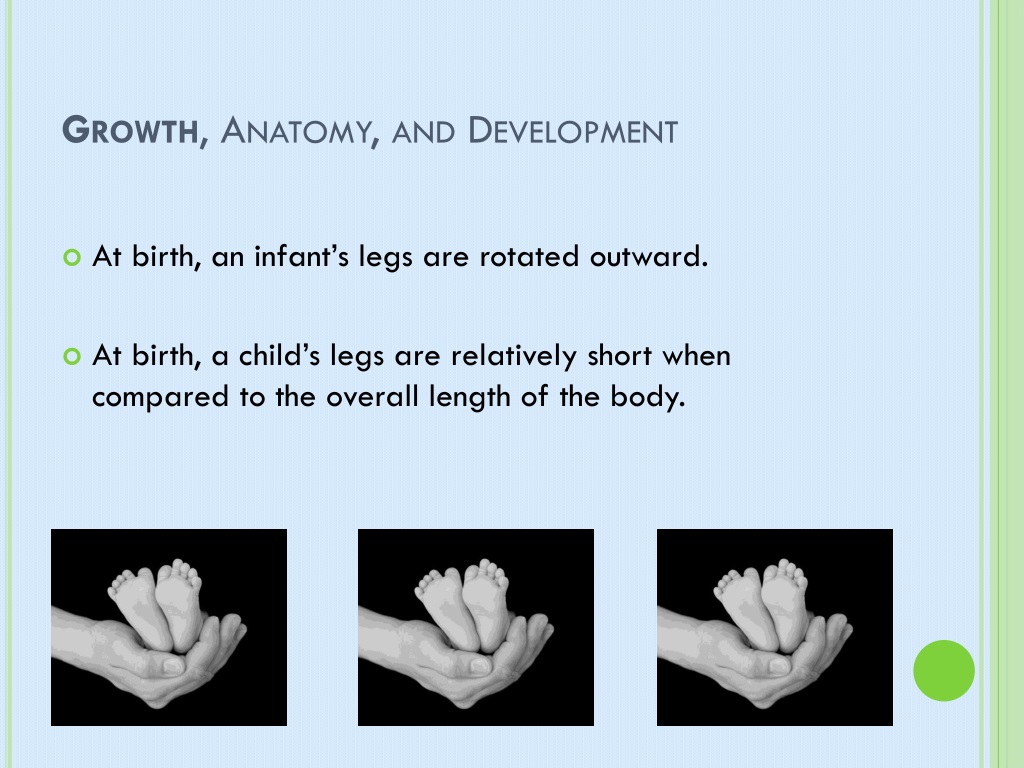 PPT - Kids’ Feet: Podopediatrics PowerPoint Presentation, free download ...