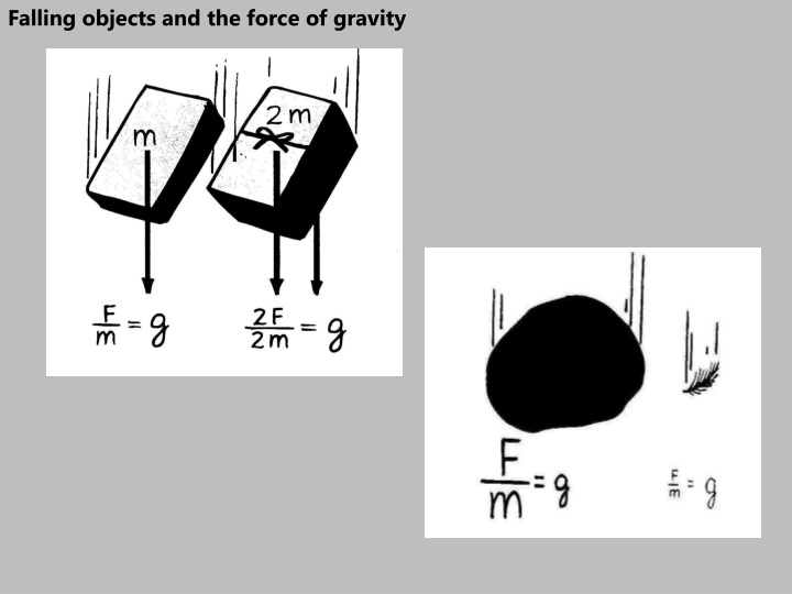 PPT - Gravitational Fields PowerPoint Presentation - ID:1529442