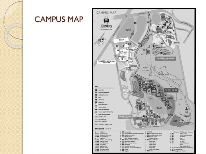 PPT - FLINDERS UNIVERSITY, SA PowerPoint Presentation - ID:1529852