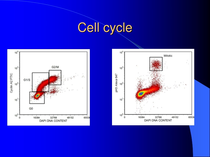 PPT - Flow Cytometry Basics PowerPoint Presentation - ID:1530452
