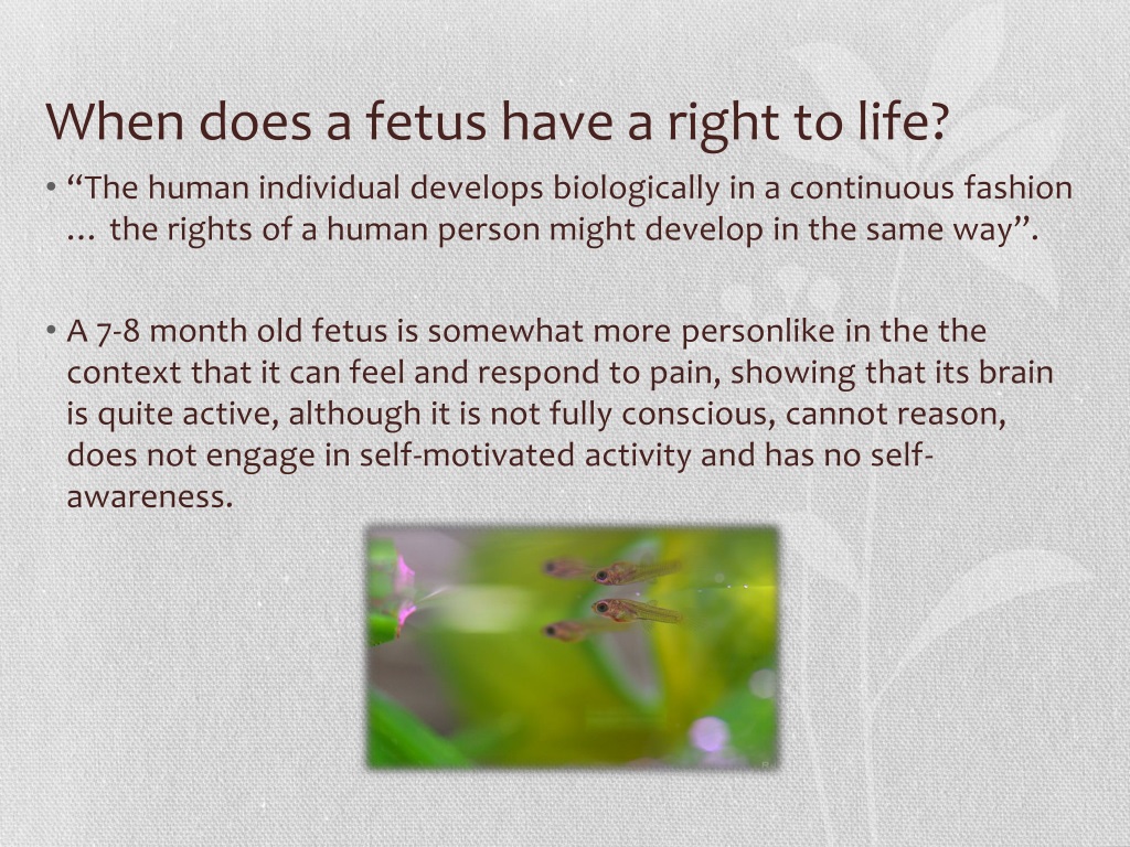 PPT - “On the moral and legal status of abortion” by Mary Anne Warren ...