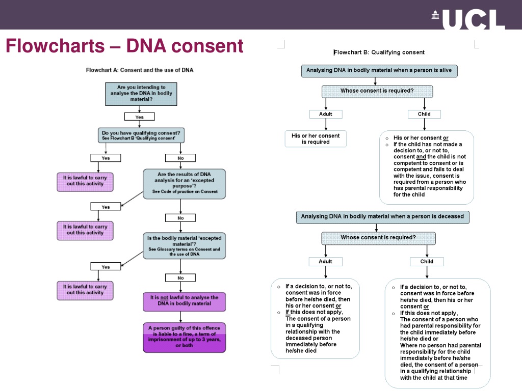 PPT - Human Tissue Act 2004: DNA Analysis Dr Kirstin Goldring Biobank ...