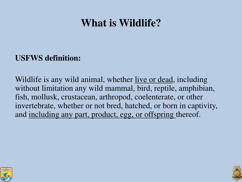 PPT - U.S. Fish & Wildlife Service Office of Law Enforcement PowerPoint ...