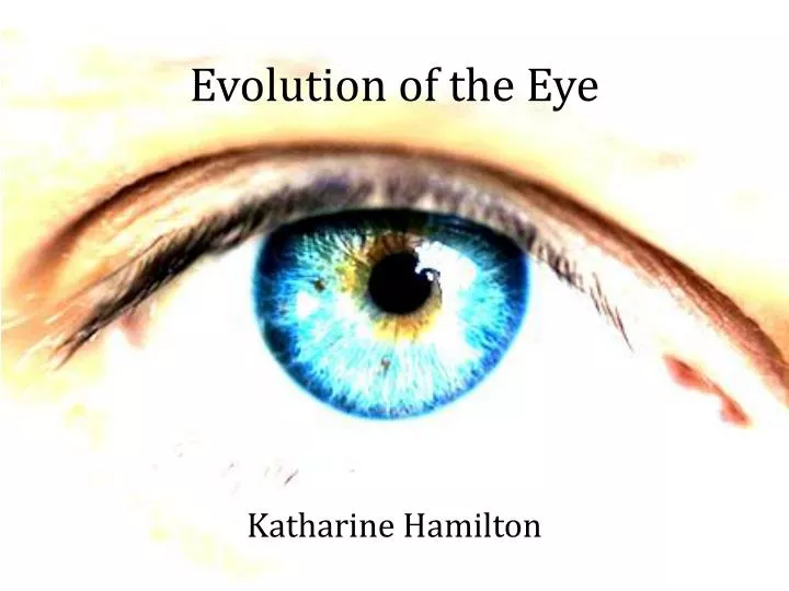 PPT - Evolution of the Eye PowerPoint Presentation, free download - ID ...