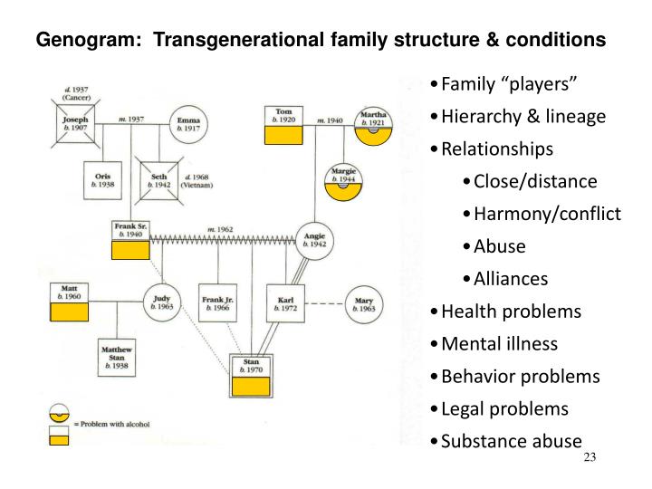 PPT - Case conceptualization PowerPoint Presentation - ID:1536235